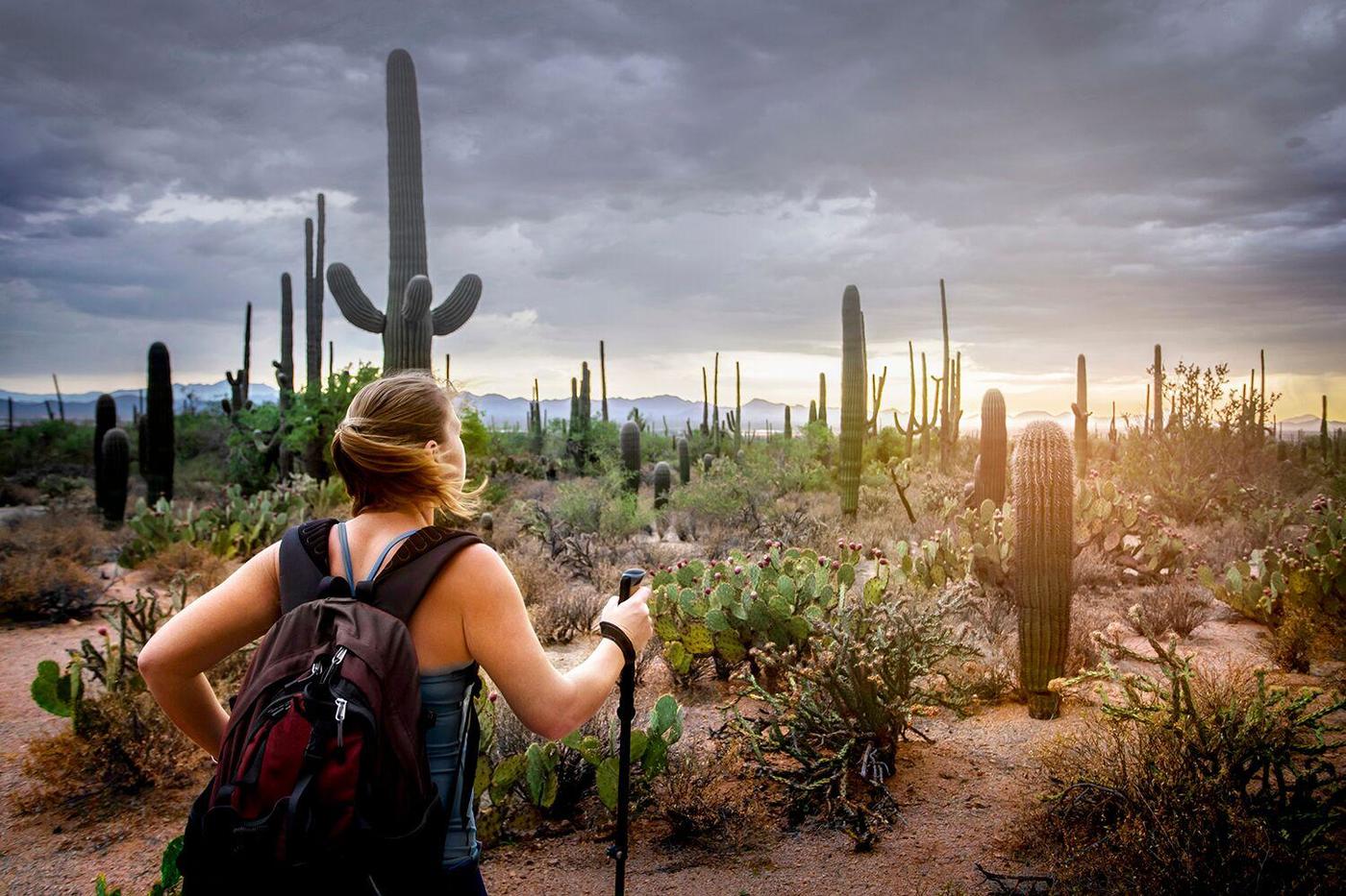 Leading Destination Wellness Resorts - About Canyon Ranch