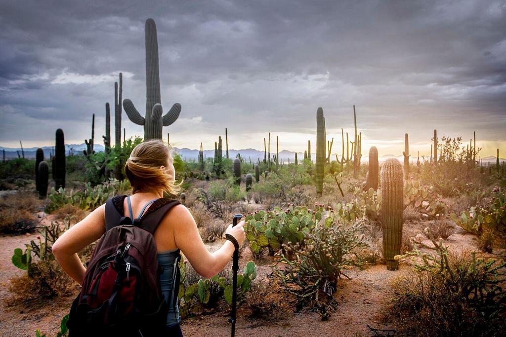 Leading Destination Wellness Resorts - About Canyon Ranch