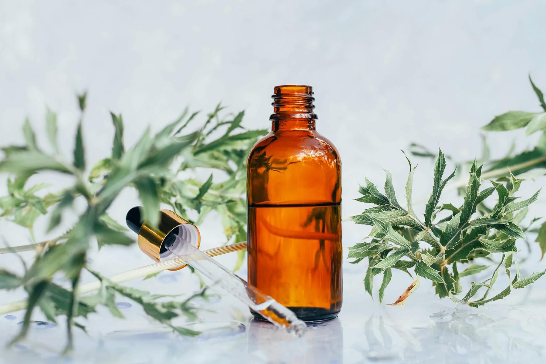 The Mind and Body Benefits of Aromatherapy | Read & Be Well | Canyon Ranch