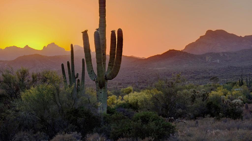 Arizona Desert Resorts | Canyon Ranch Tucson in the Sonoran Desert