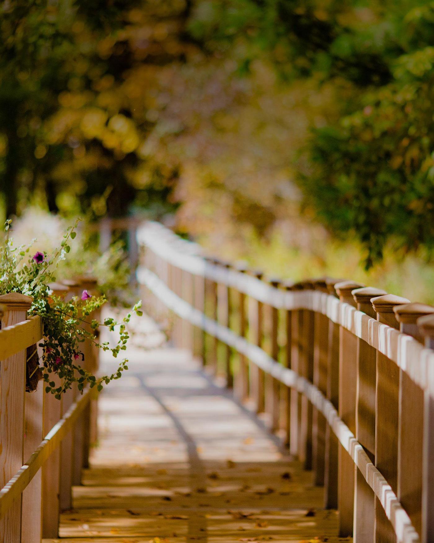 Wellness Experiences at Canyon Ranch | Berkshires Resort