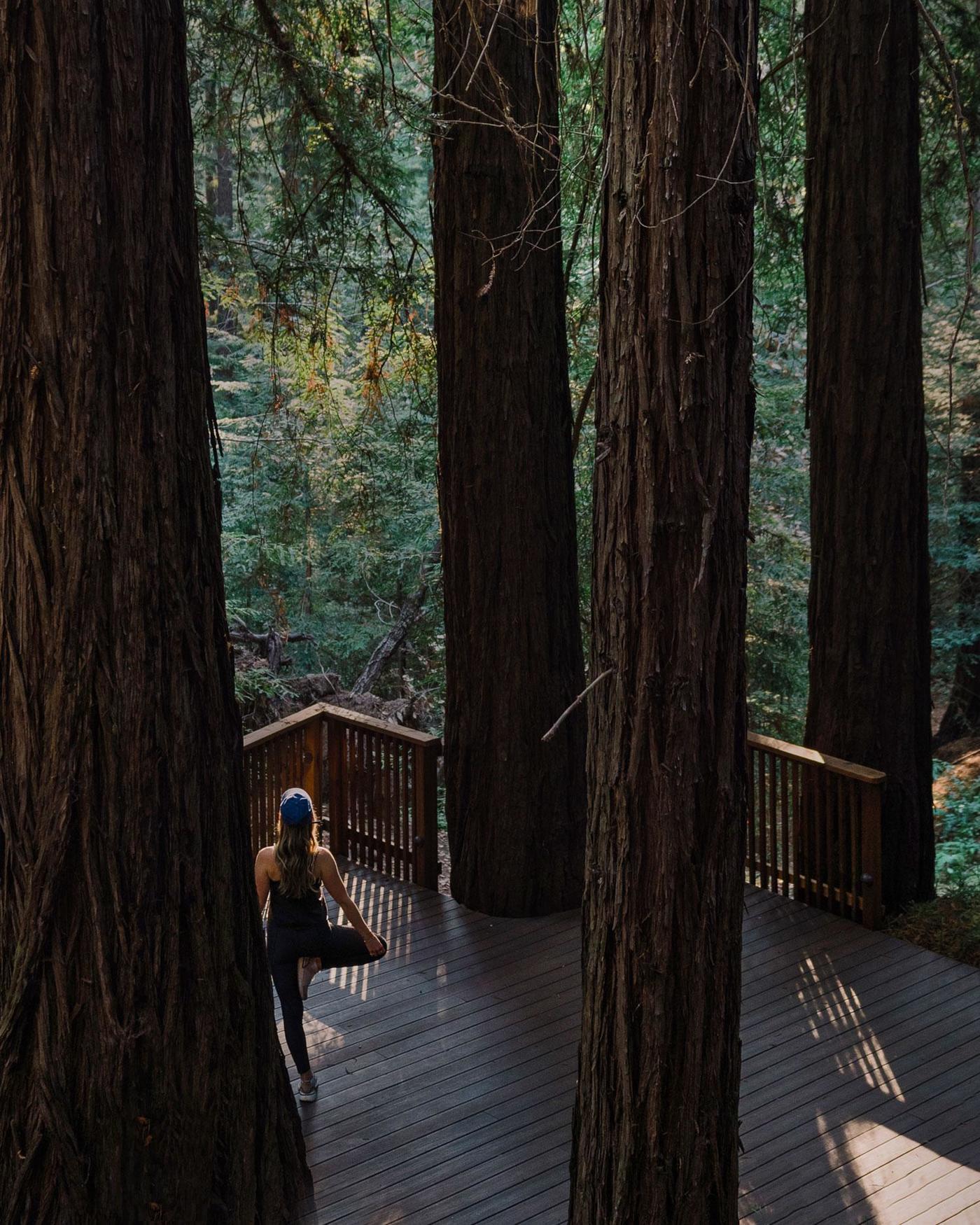 Spa Resort near San Francisco: Canyon Ranch Woodside