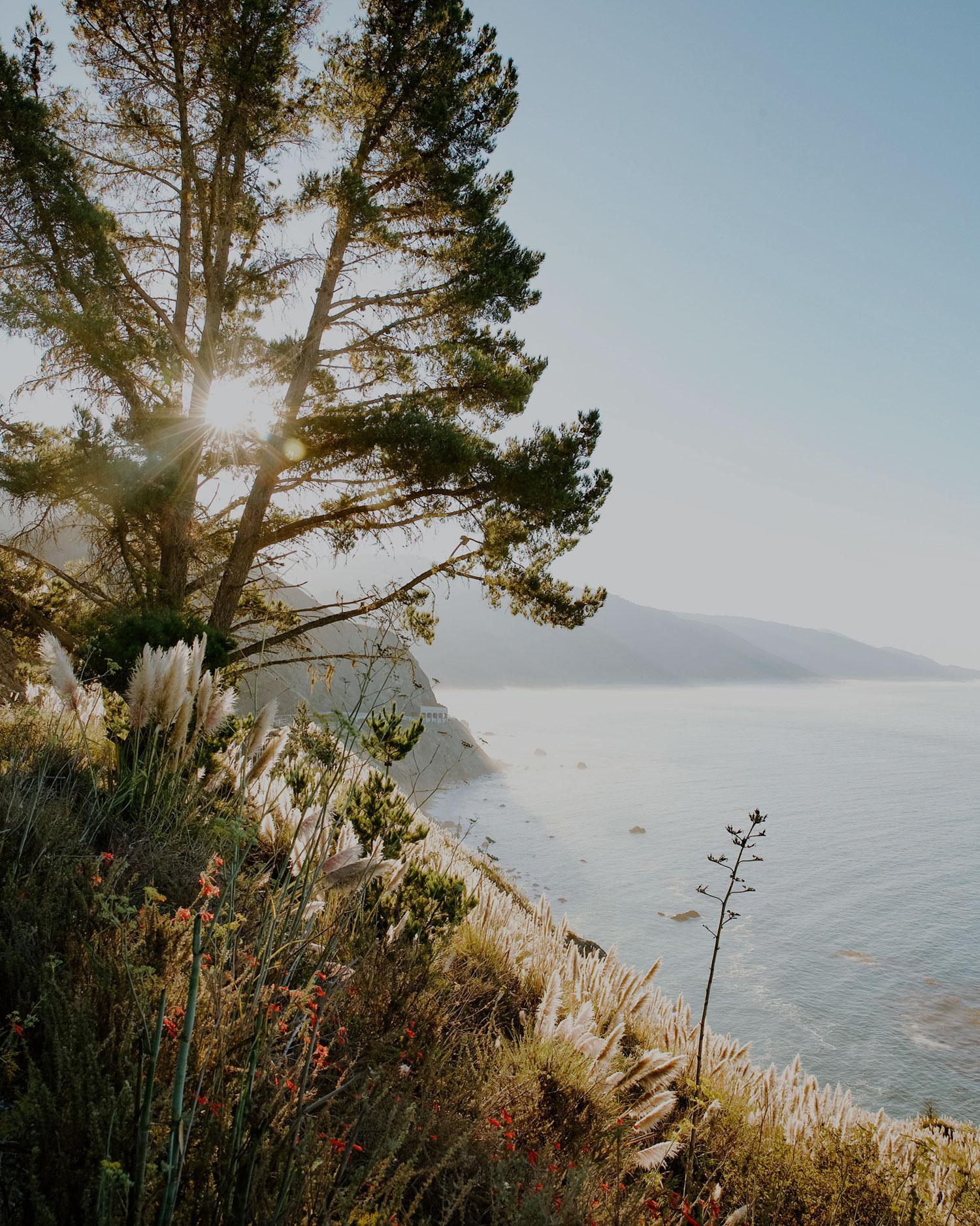 Leading Destination Wellness Resorts - About Canyon Ranch