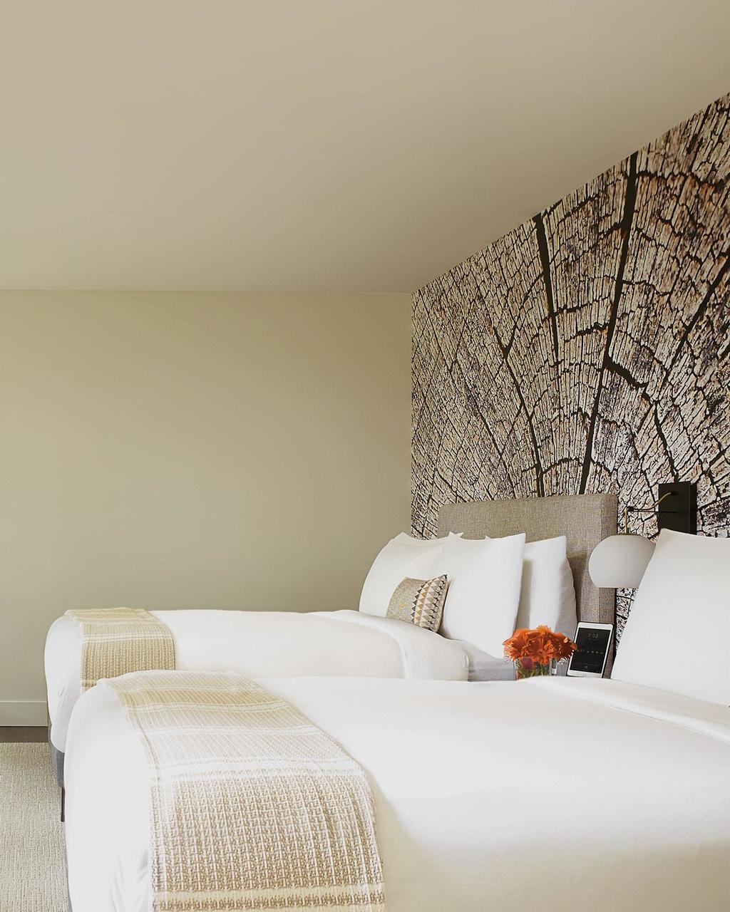 Arizona Wellness Resort & Spa | Canyon Ranch Tucson